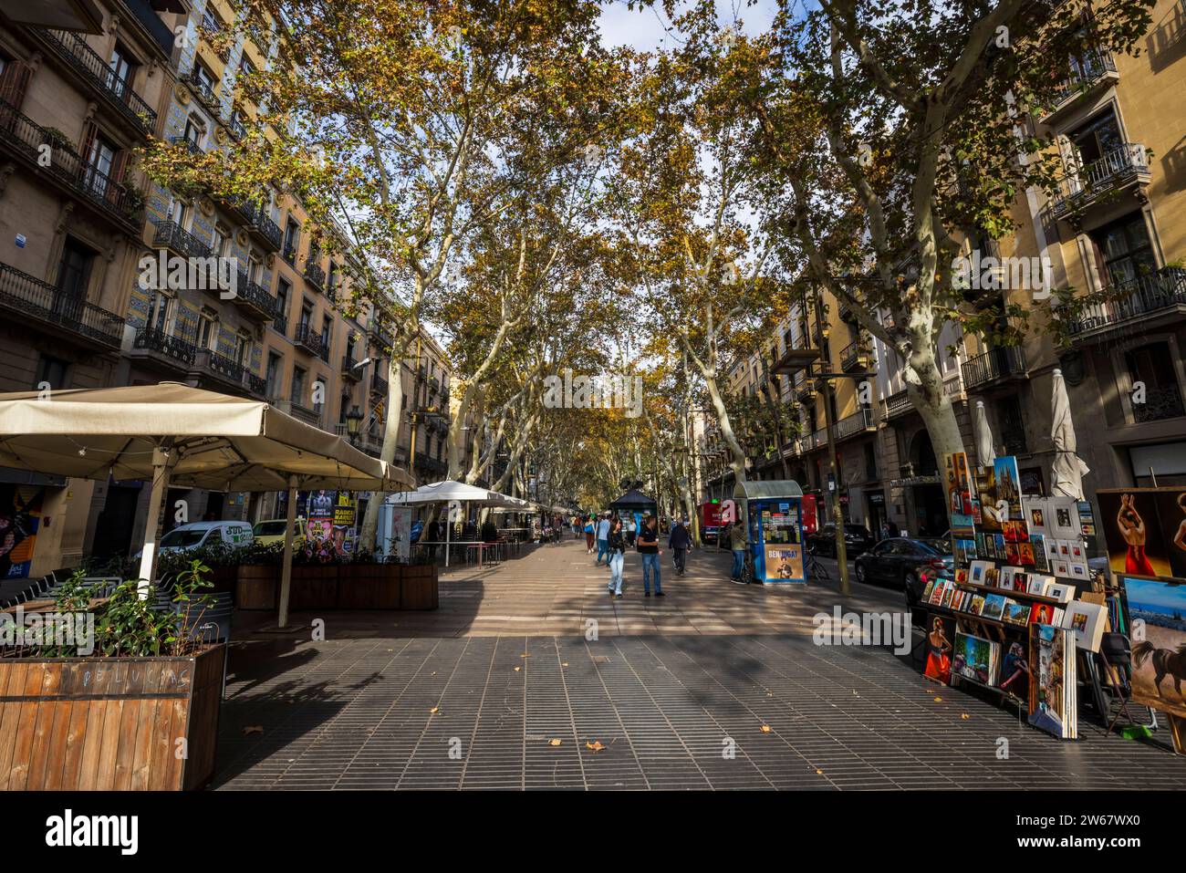 The tree lined La Rambla in Barcelona, Catalonia, Spain Stock Photo - Alamy