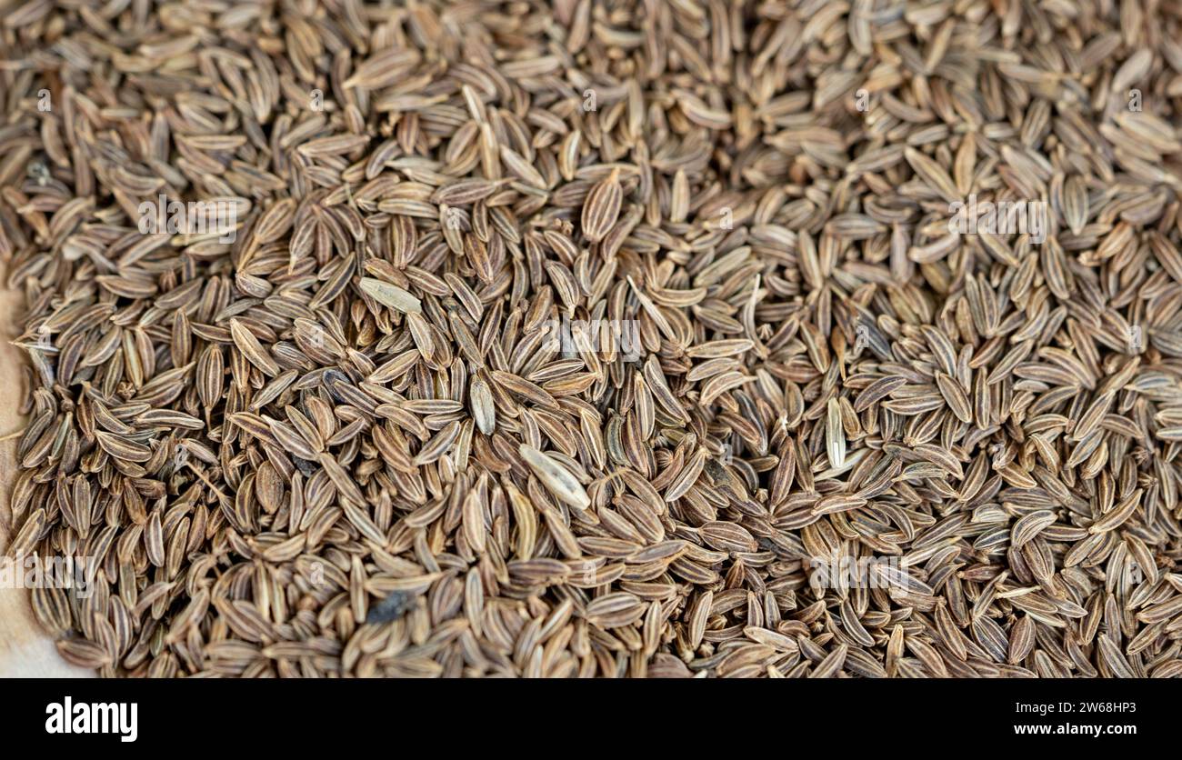 caraway seeds Carum carvi on olive wood Stock Photo - Alamy