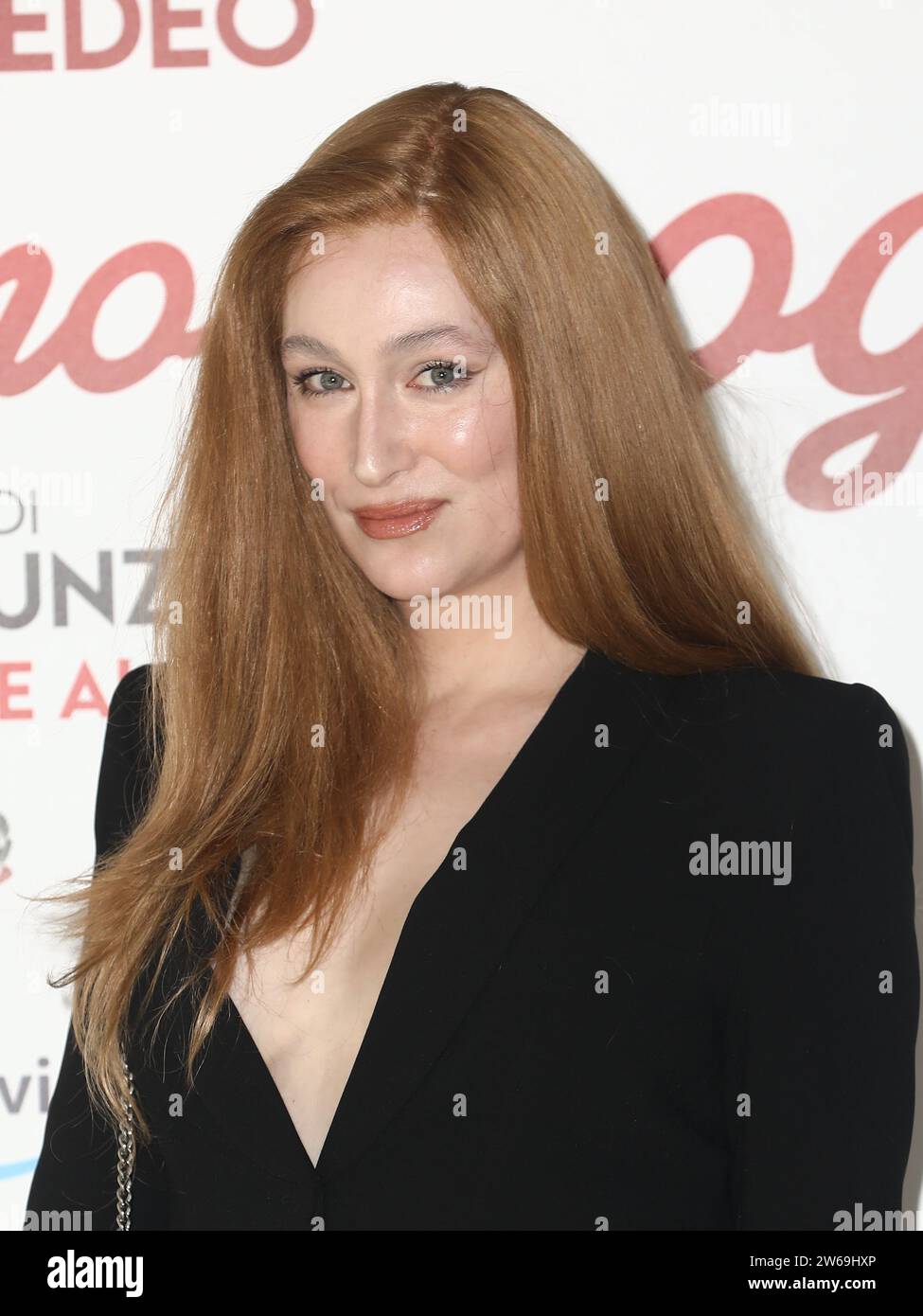 Rome, Italy. 21st Dec, 2023. Rome, Adriano cinema, photocall film "How ...