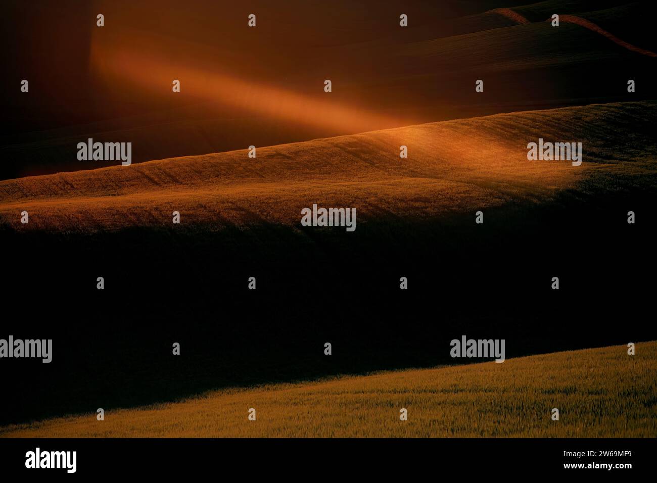 A captivating landscape image showcasing the ethereal beauty of light ...