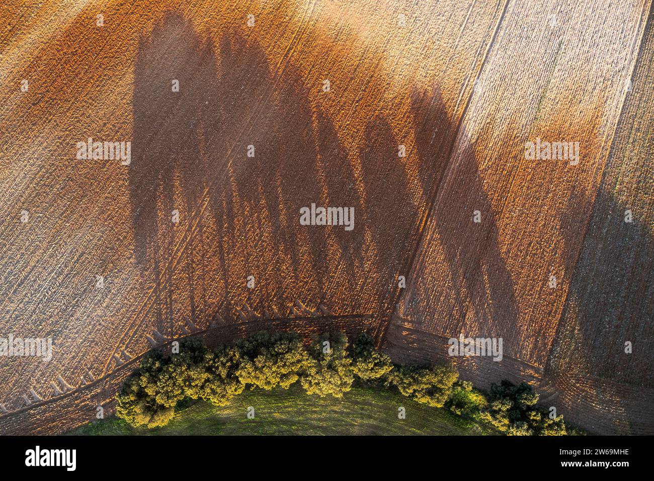 An aerial shot capturing the varying textures and patterns of a rural ...