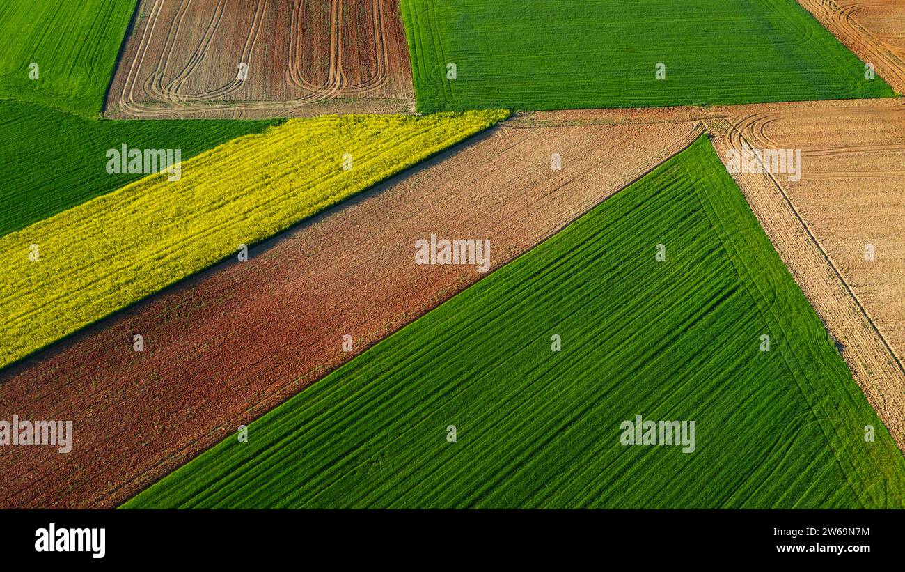 Aerial view of agricultural fields with geometric patterns in shades of ...