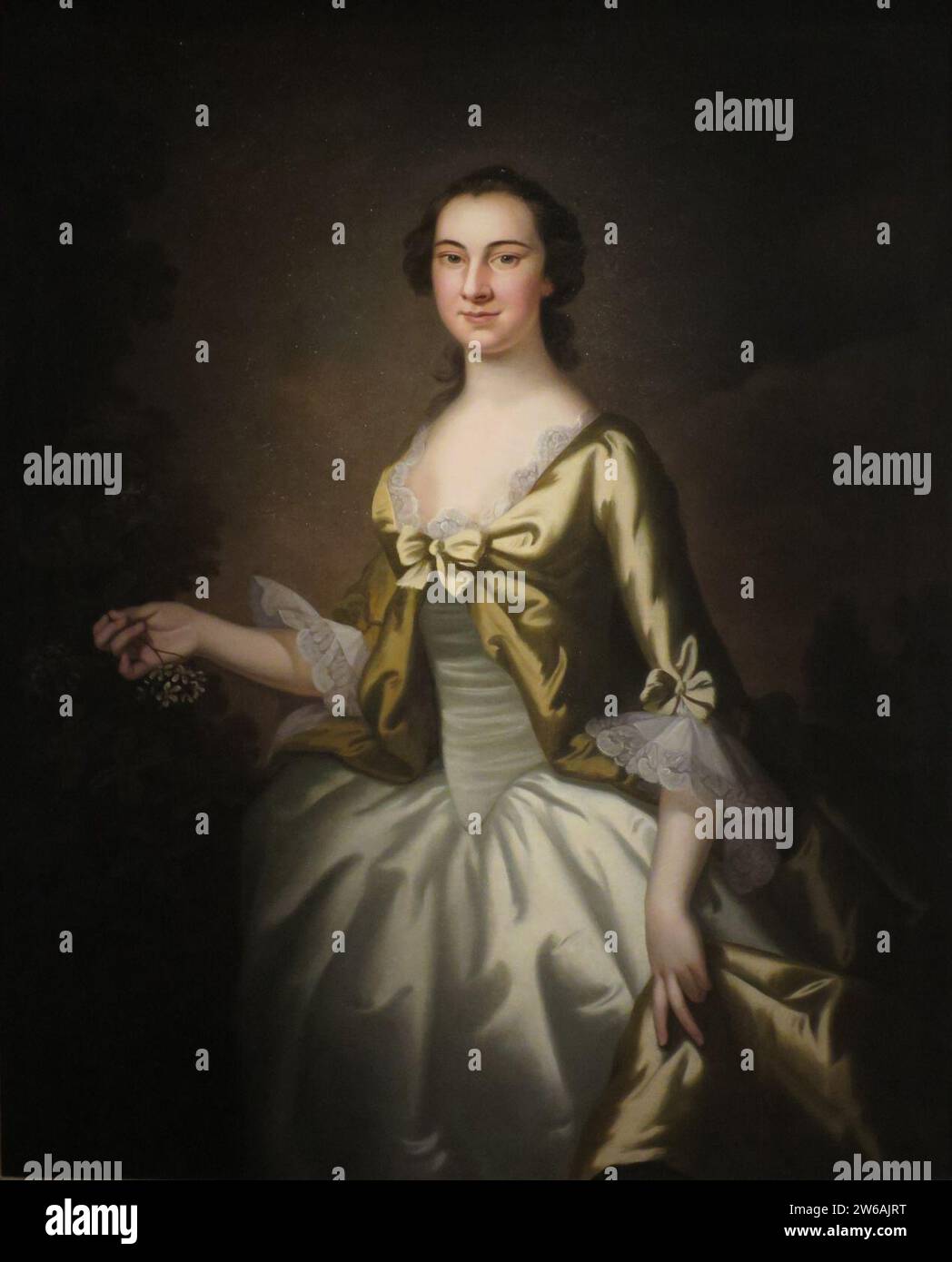 Elizabeth North Plumstead (later Mrs. William Elliot) by John Wollaston ...