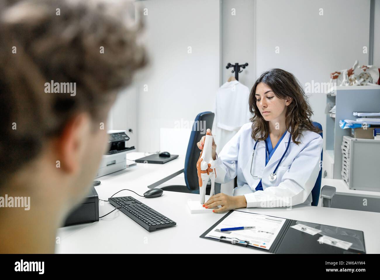 Tendon and muscle figurine hi-res stock photography and images - Alamy