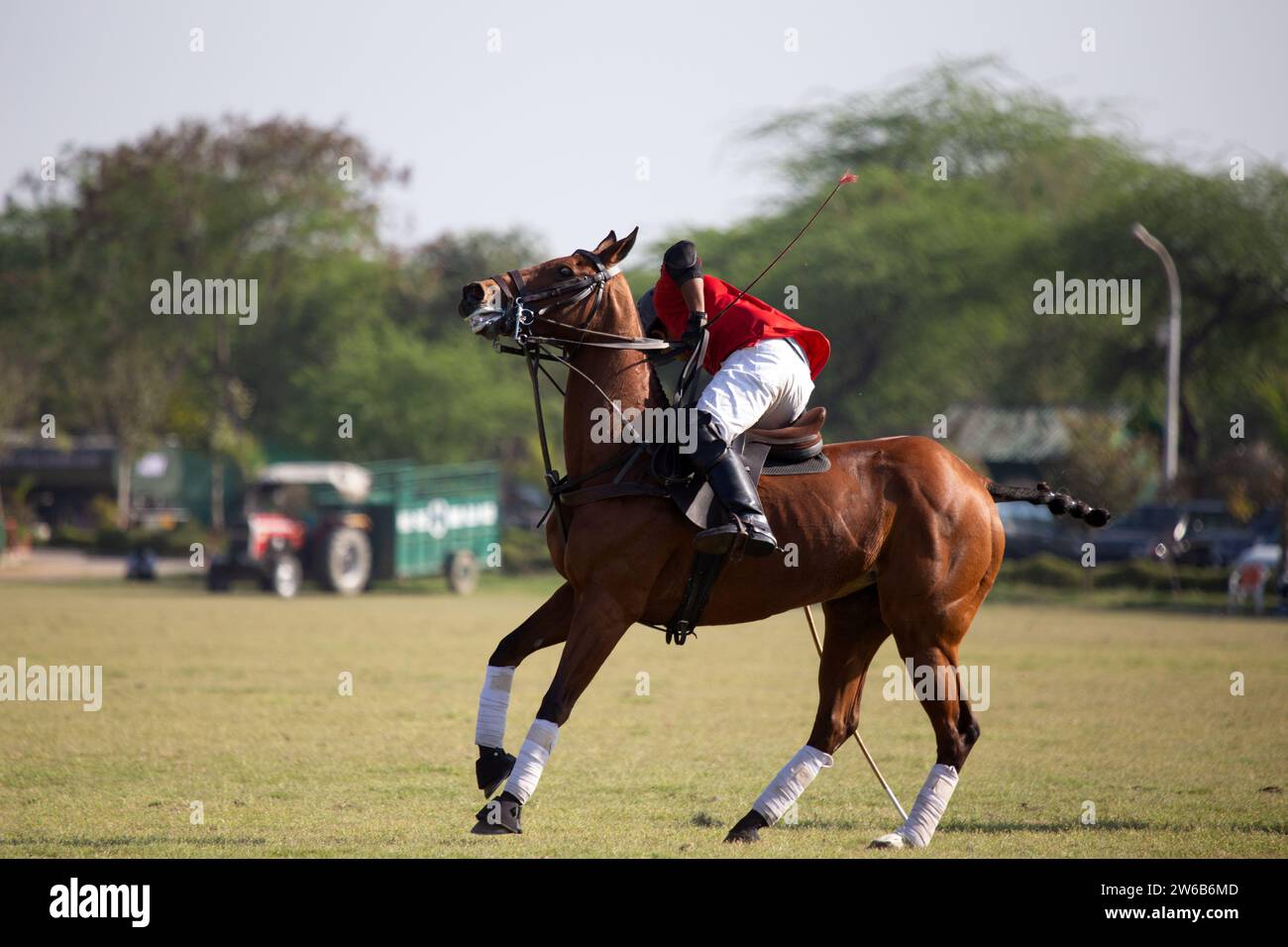 Man on a horse playing a polo match, New Delhi, India Stock Photo - Alamy