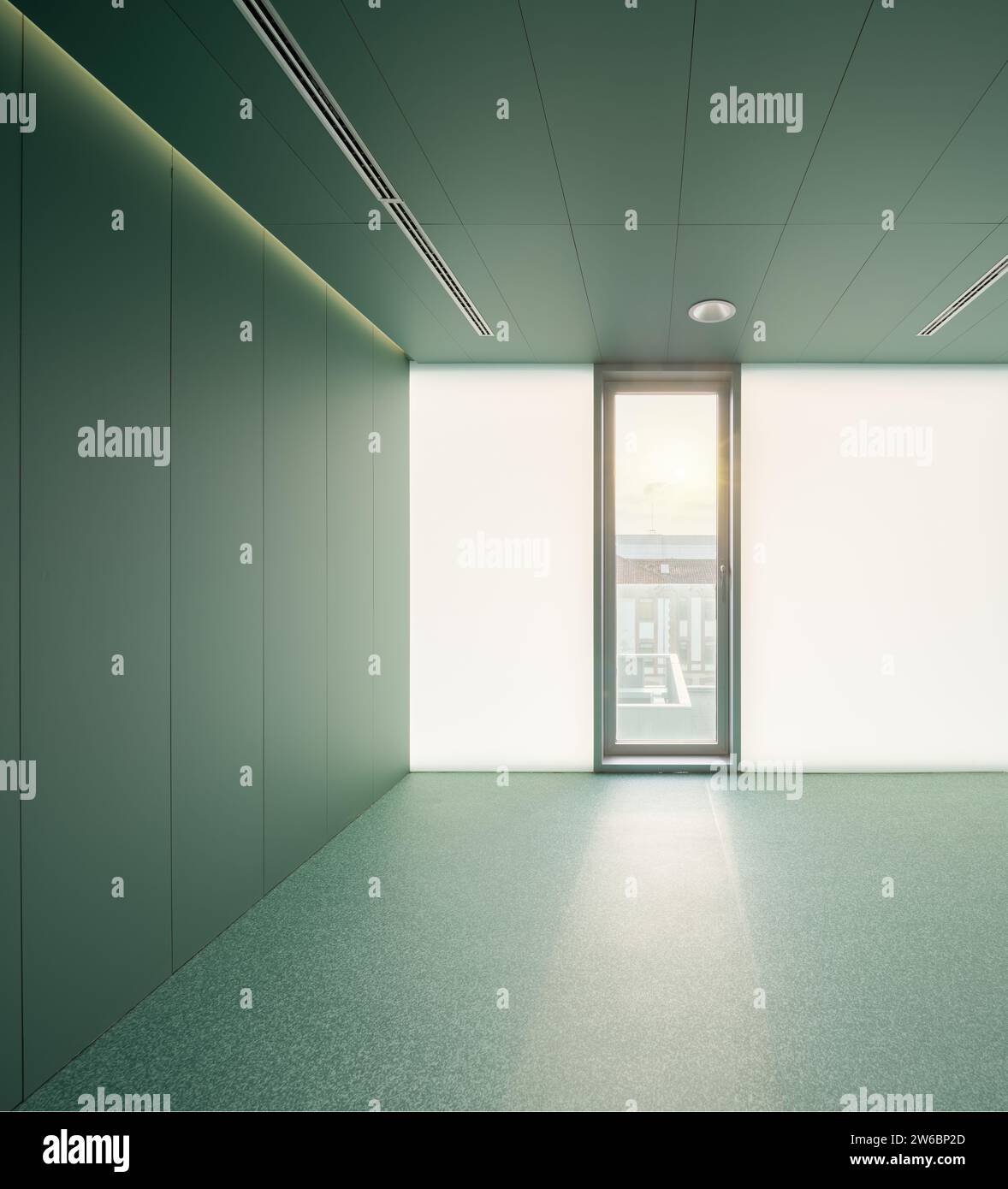 Interior of bright empty green room with closed glass door in modern ...