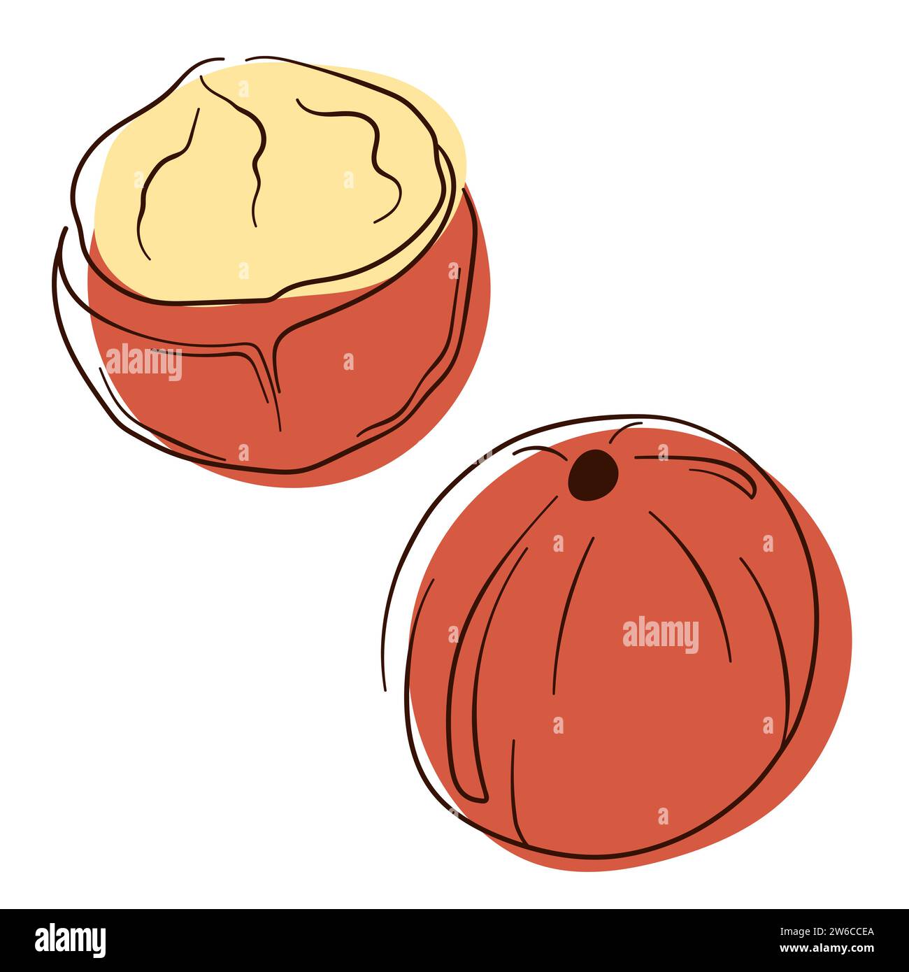 Macadamia nut illustration hi-res stock photography and images - Alamy