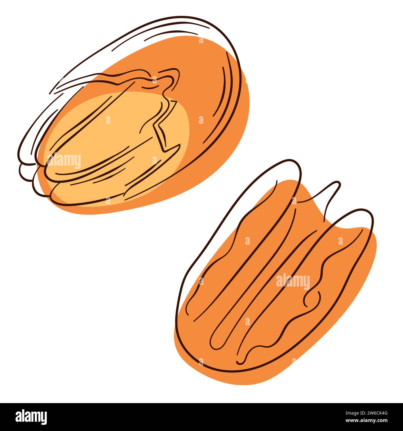 Pecan icon in line art style. Logo flat nut for recipe book, booklet ...
