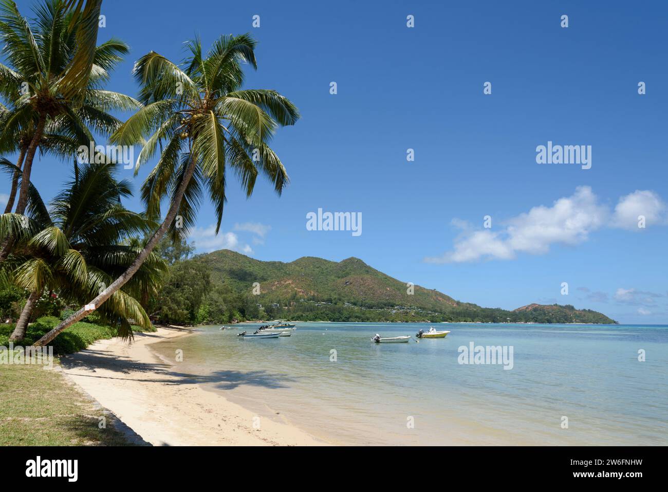 Palm-fringed bay at Anse Possession beach, Praslin Island, Seychelles ...