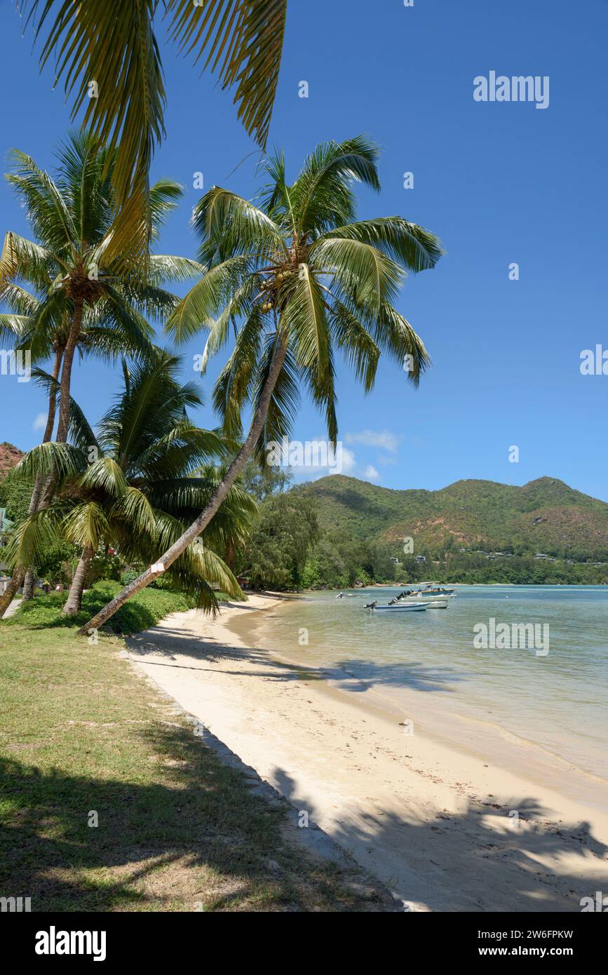 Palm-fringed bay at Anse Possession beach, Praslin Island, Seychelles ...