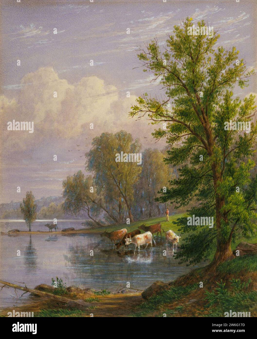 William rickarby hi-res stock photography and images - Alamy