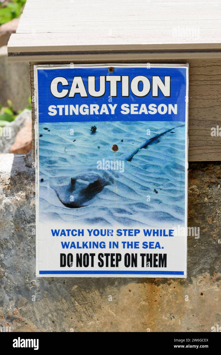 Poster warning swimmers to be careful of stingrays on Cote D'Or Beach ...