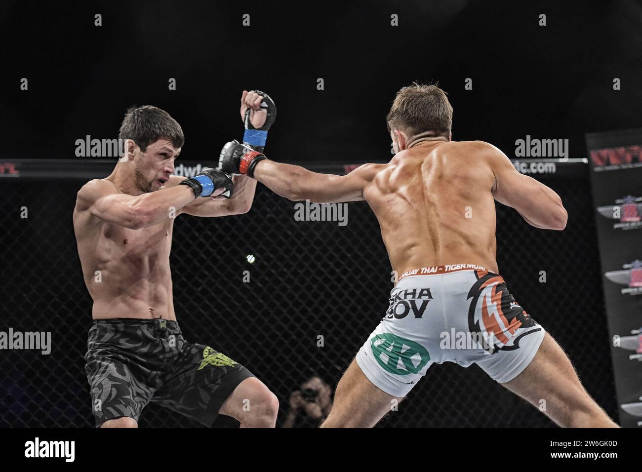 mma fighters fight at the ring Stock Photo - Alamy