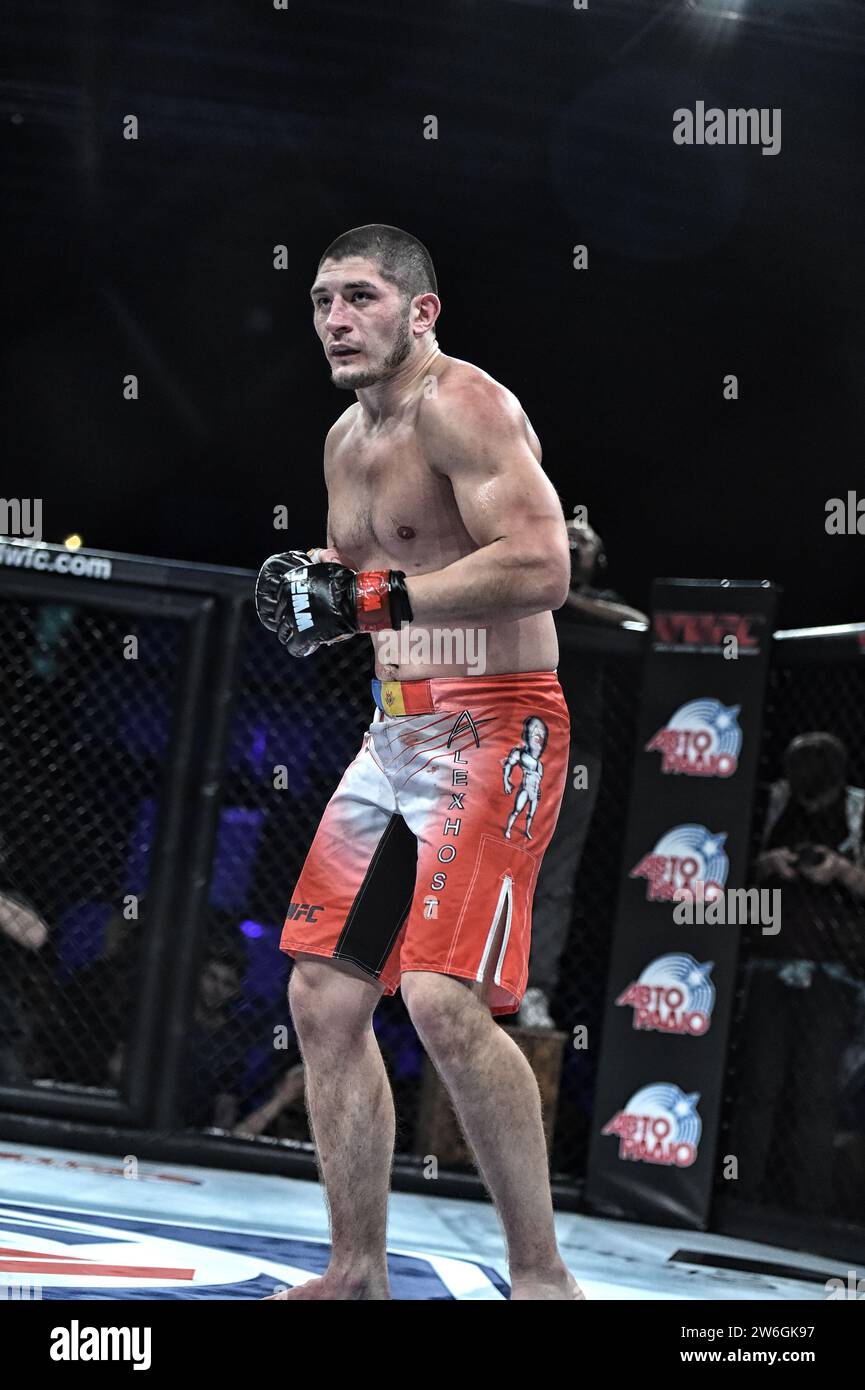 mma fighters fight at the ring Stock Photo - Alamy