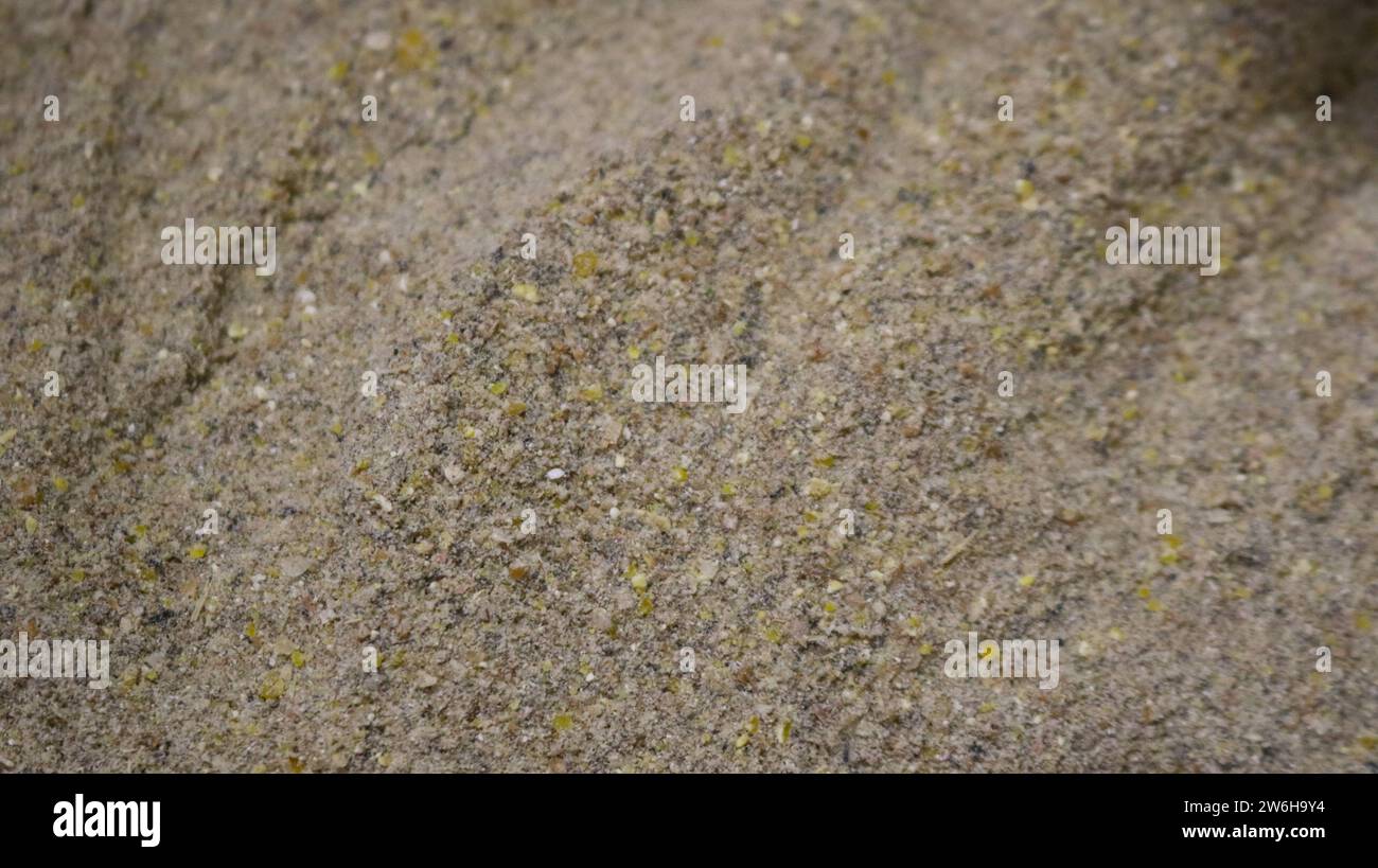 agricultural feed close-up, ground wheat and corn grain mixed with ...