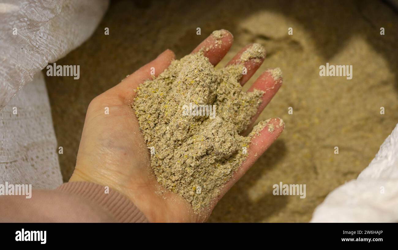 a woman's hand holds a handful of crumbly non-granular feed over a bag ...