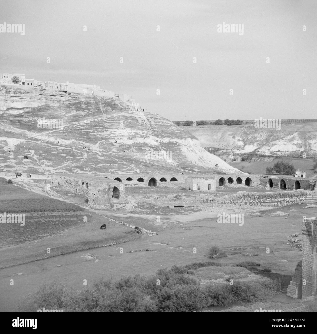 Al rastan hi-res stock photography and images - Alamy