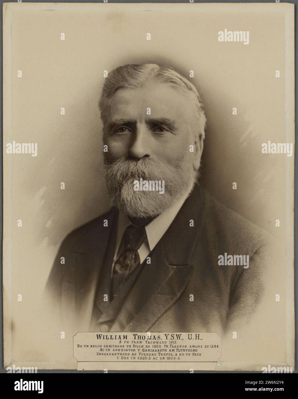 William Thomas, Y.S.W., U.H a fu farw Tachwedd 1915 (5449767 Stock ...