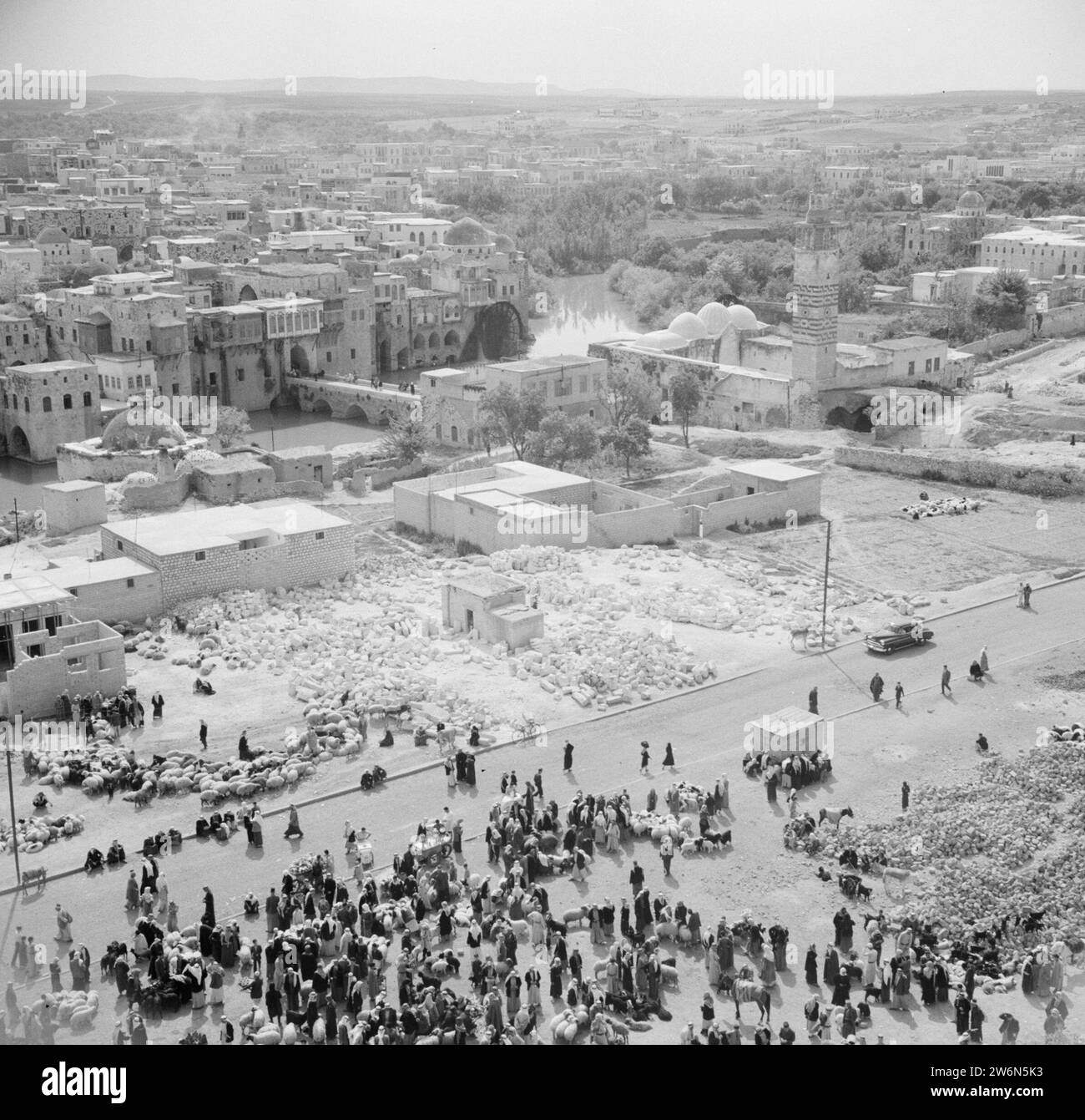 View of the cattle market of Hama from the tell in the background the ...