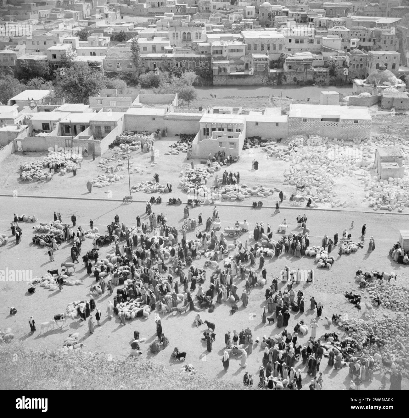 View of the cattle market of Hama from the tell in the background the ...