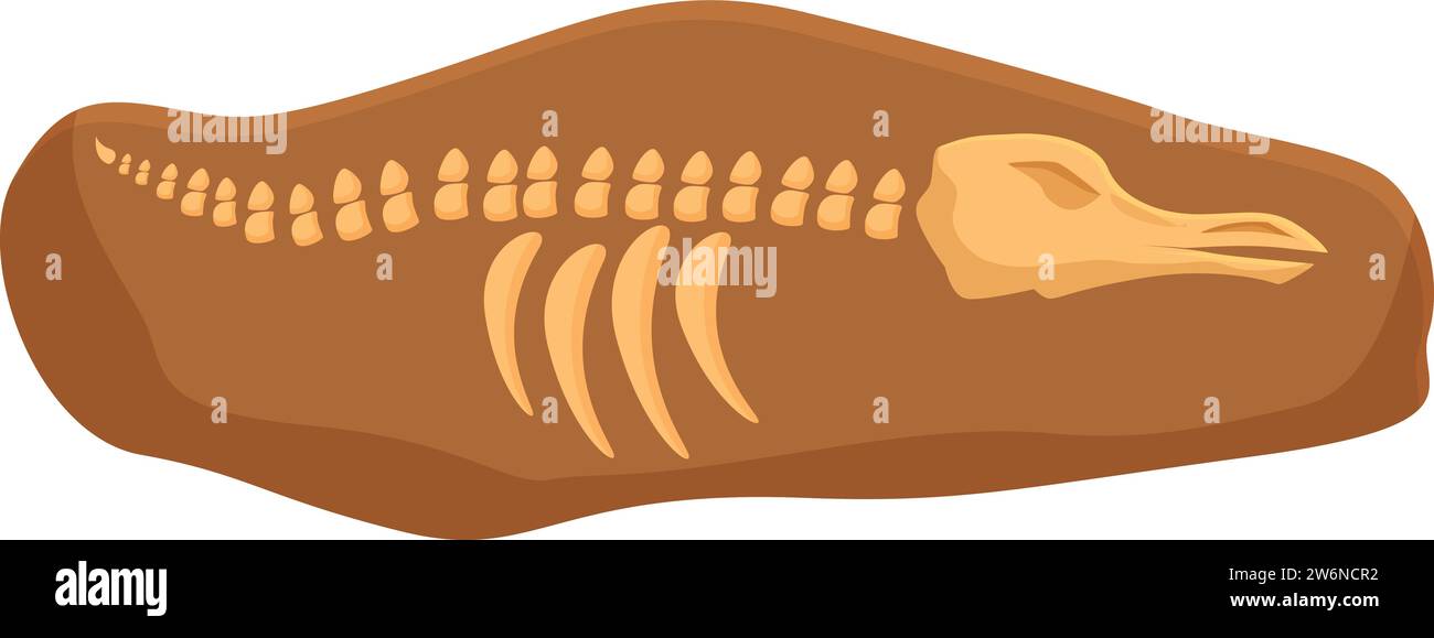 Dinosaur fossil icon cartoon vector. Nature animal geology. Biology ...