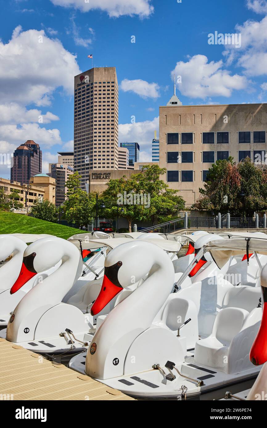Swan Pedal Boats on Indianapolis Canal with City Skyline Stock Photo ...
