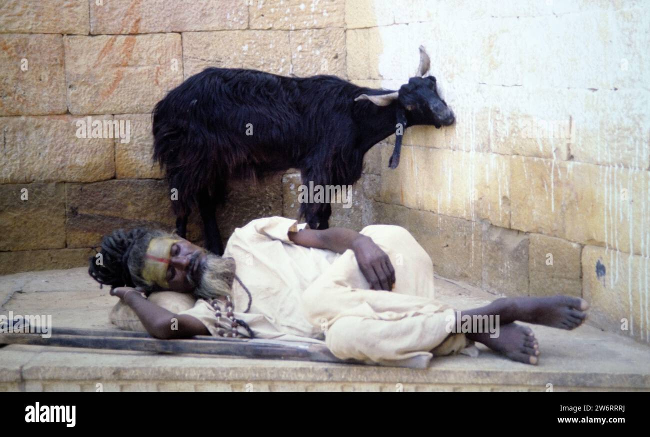 Archive Historical Image Of A Shiva Sadhu Holy Man Wearing A Simple ...