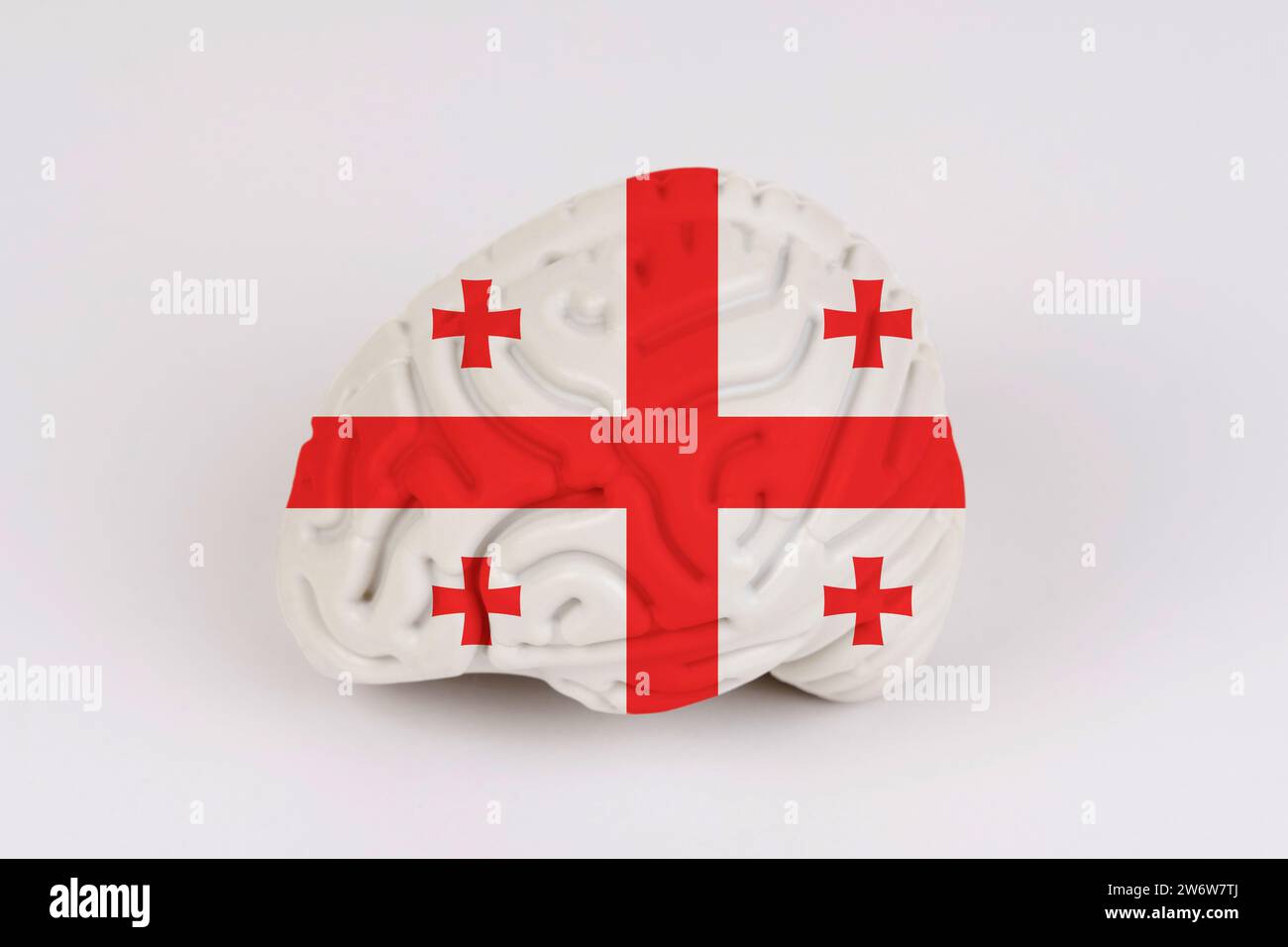 On a white background, a model of the brain with a picture of a flag ...