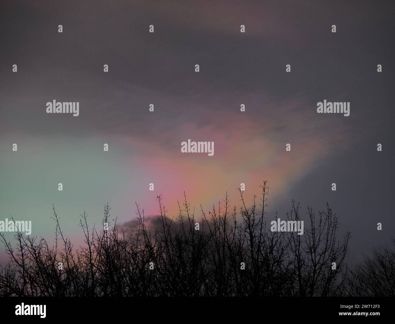 Aylesford, Kent, UK. 21st Dec, 2023. UK Weather: stunning Nacreous ...