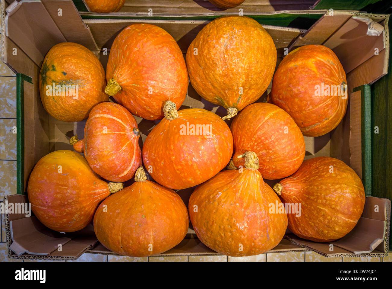 Orange Hokkaido pumpkins in cardboard box in top view for sale in ...