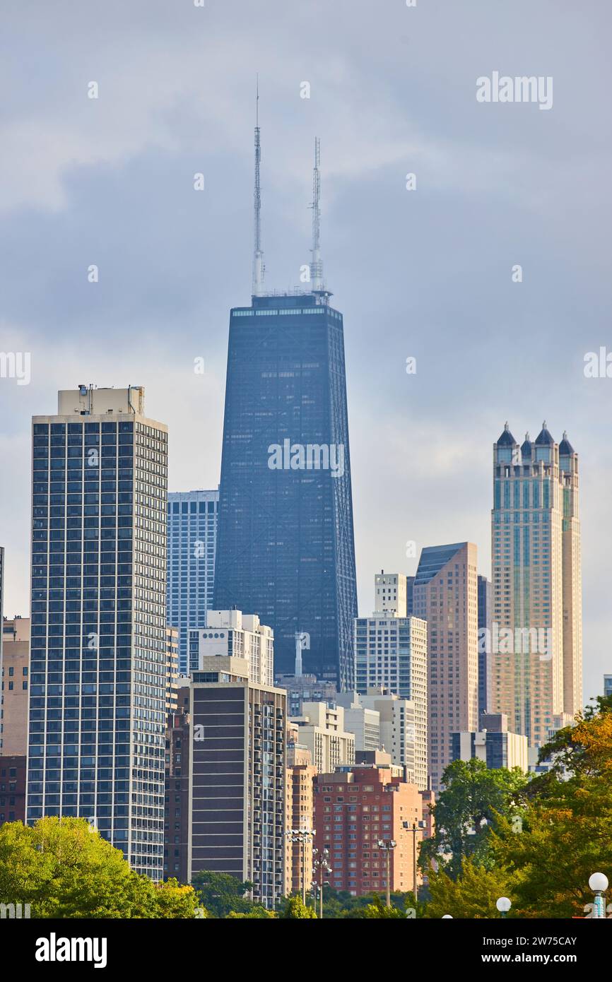Chicago skyscraper skyline above green trees, downtown buildings ...