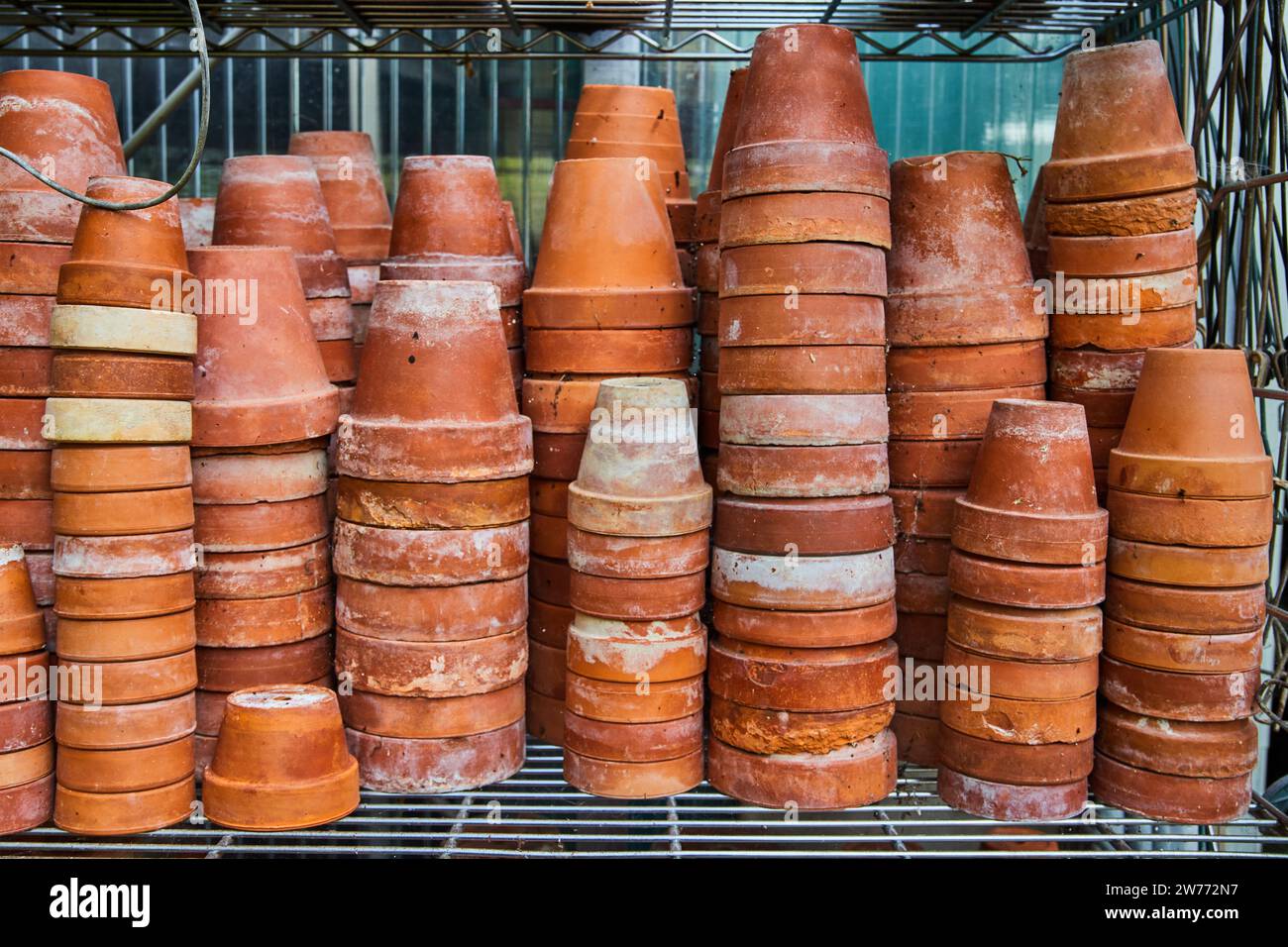 Terracotta Pot Collection in Greenhouse, Eye-Level View Stock Photo - Alamy