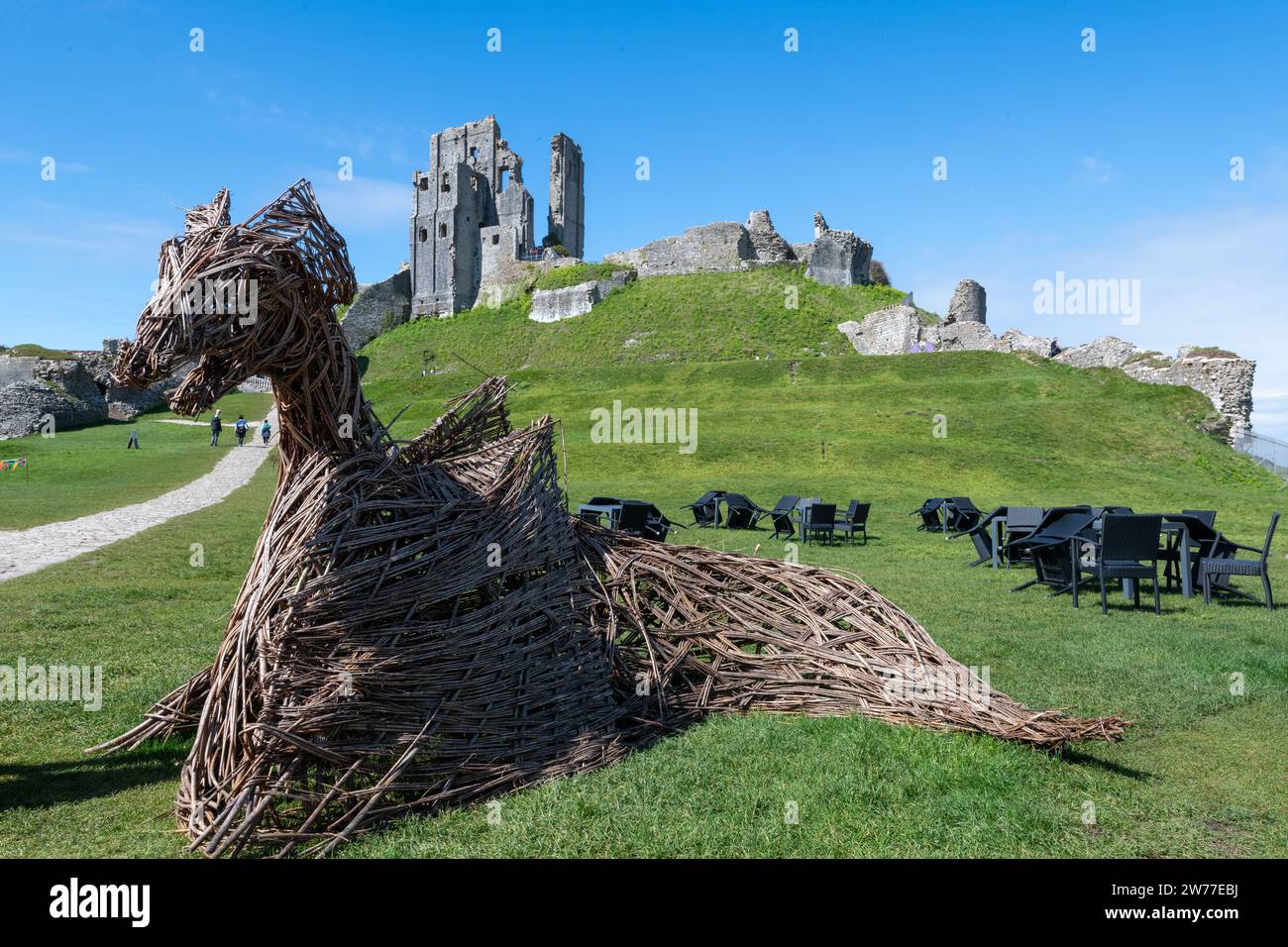 The ruins of Corfe castle in Dorset Stock Photo - Alamy