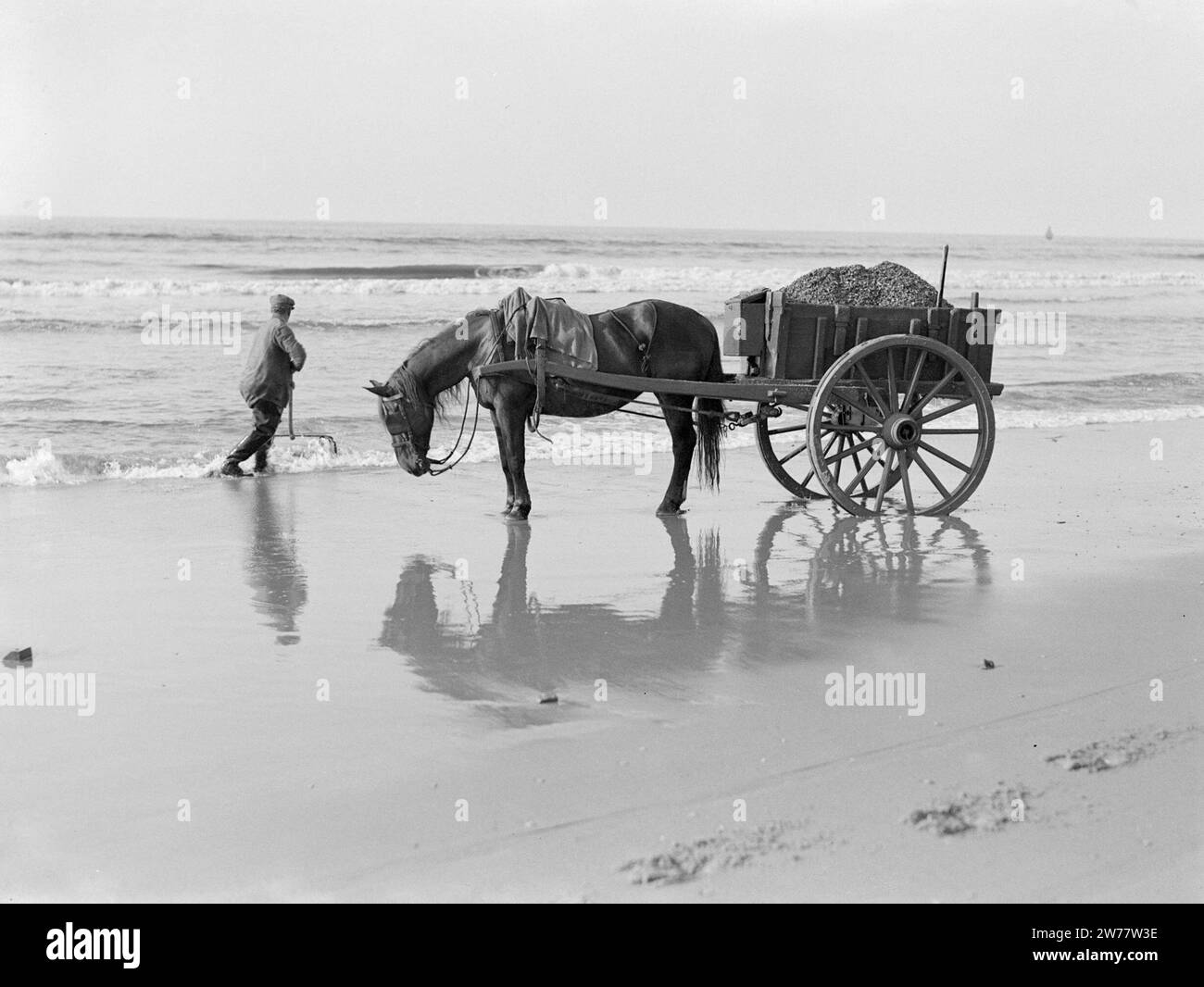 Shell cart hi-res stock photography and images - Alamy