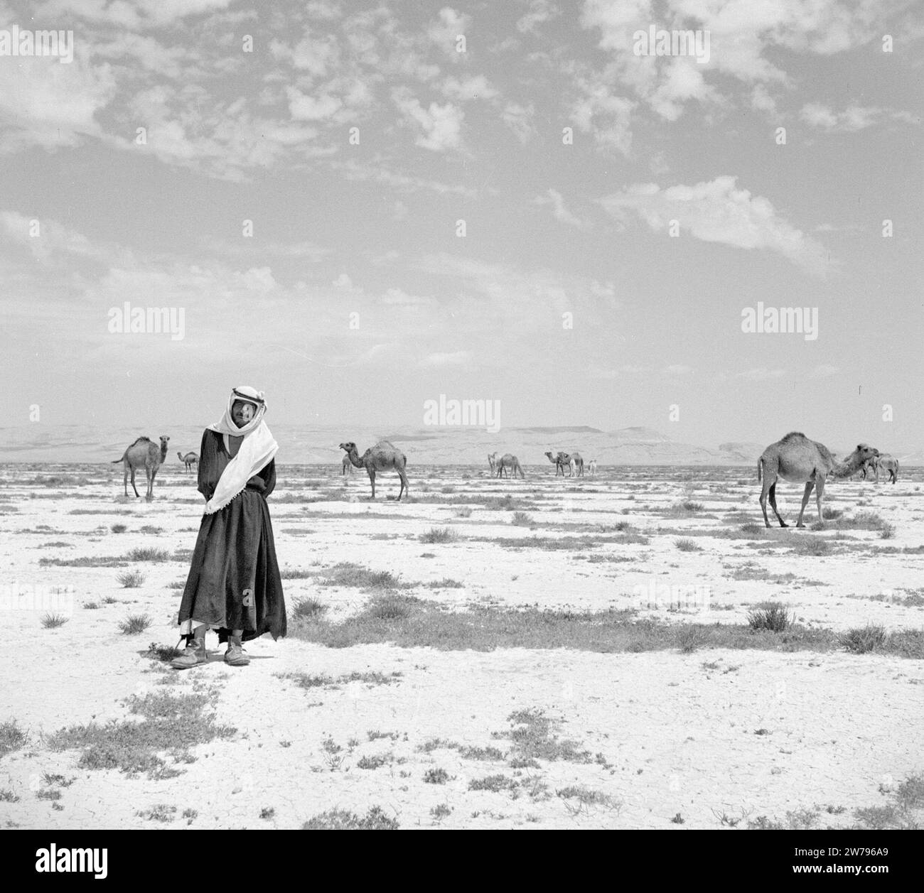 1950s bedouins hi-res stock photography and images - Alamy