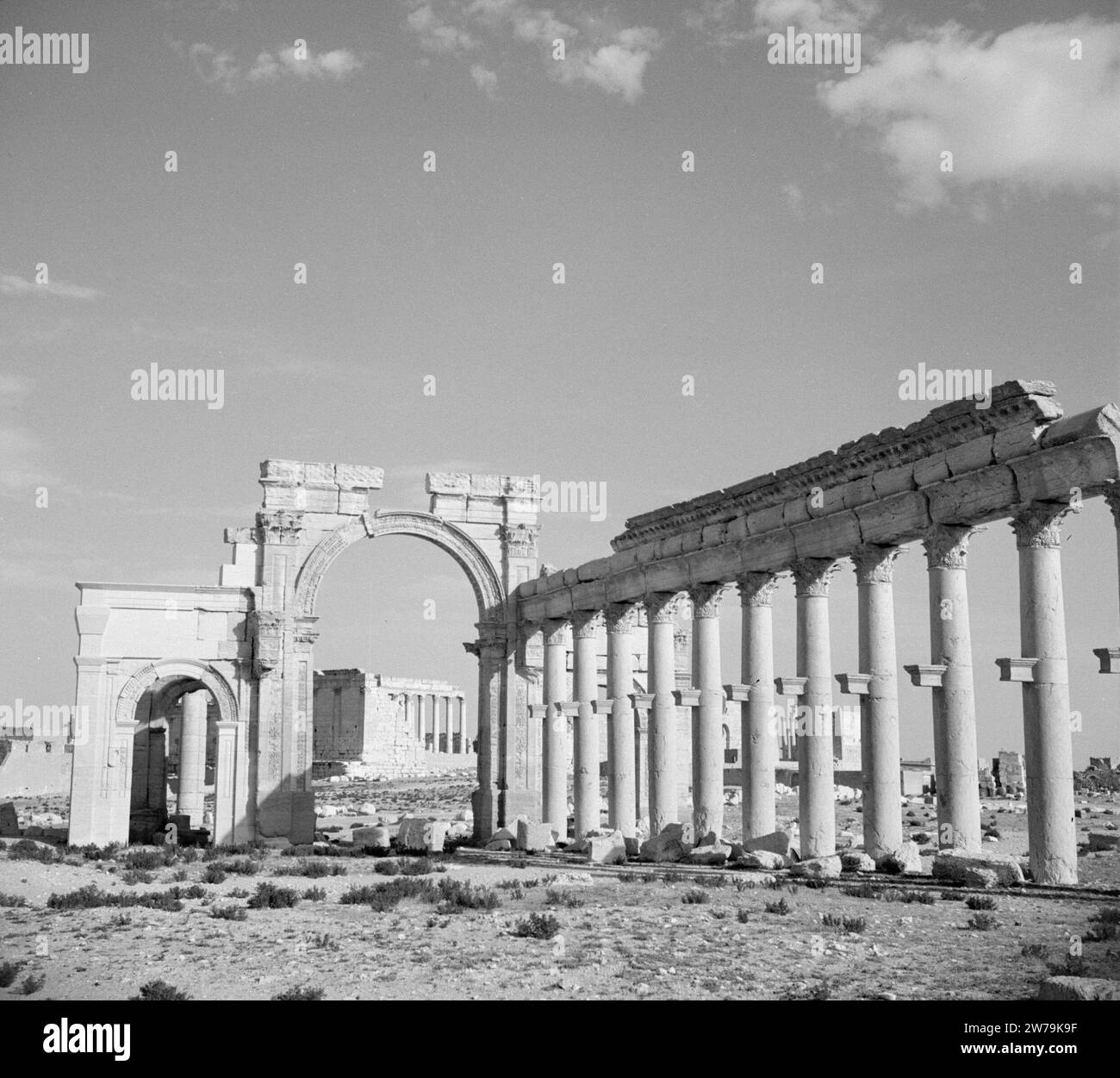 Roman remains at Palmyra. Entrance gate and the collonade street ca ...