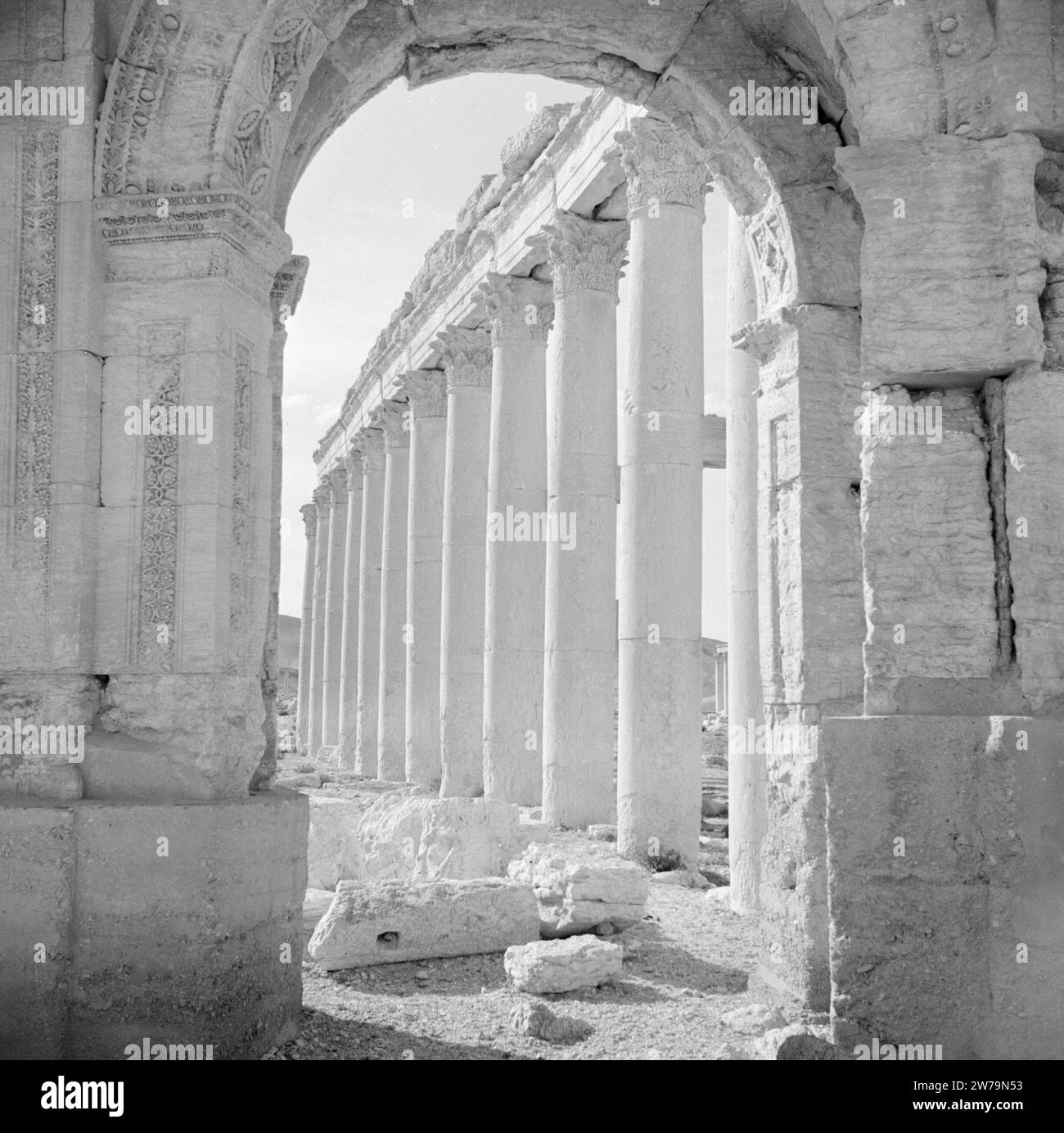Roman remains at Palmyra. View of the collonade street from the ...