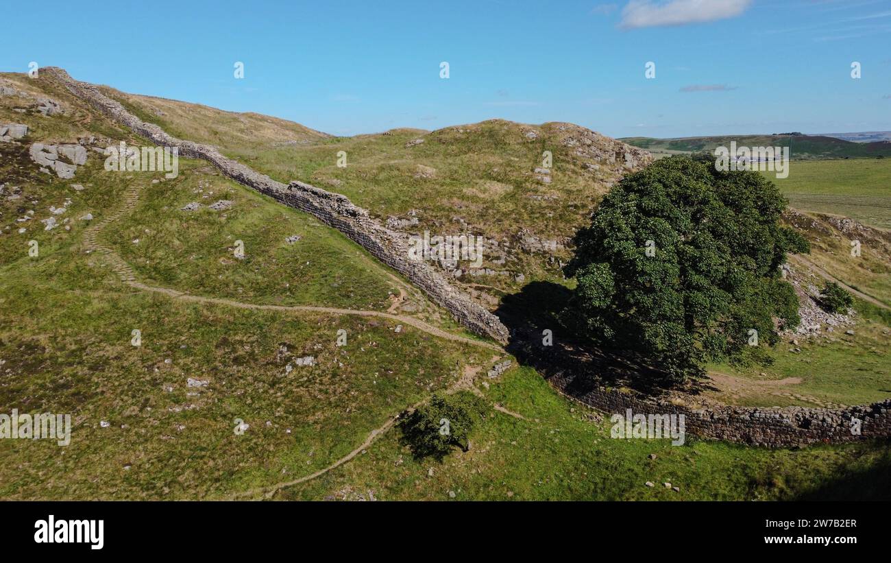 Hadrians wall tree from hi-res stock photography and images - Alamy