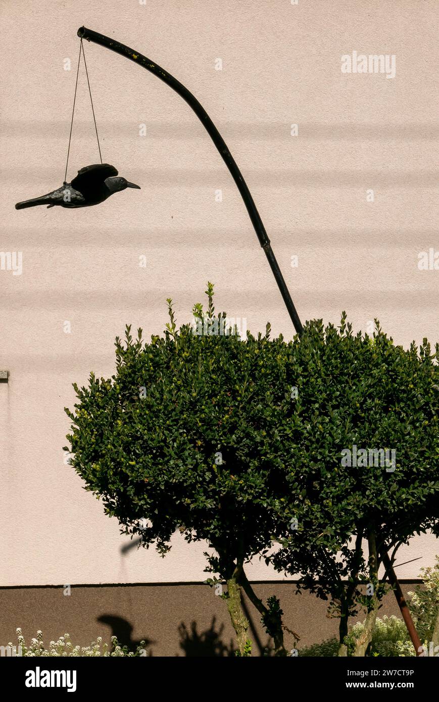 16.09.2018, Poland, Stroszki, Wielkopolska - Plastic dummy of a bird of ...