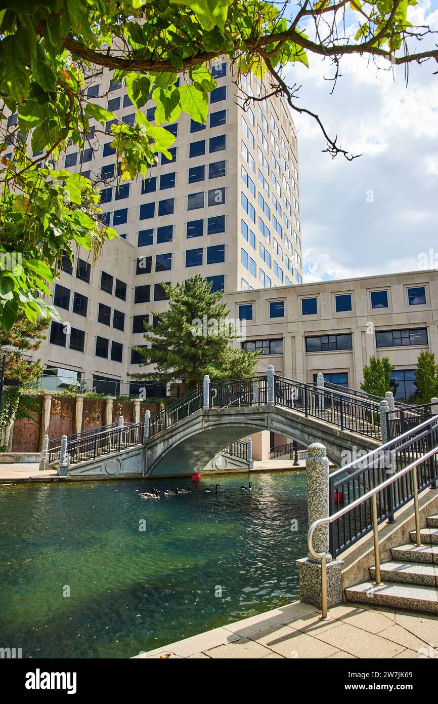 Modern Building and Pedestrian Bridge Over Canal in Urban Oasis Stock ...