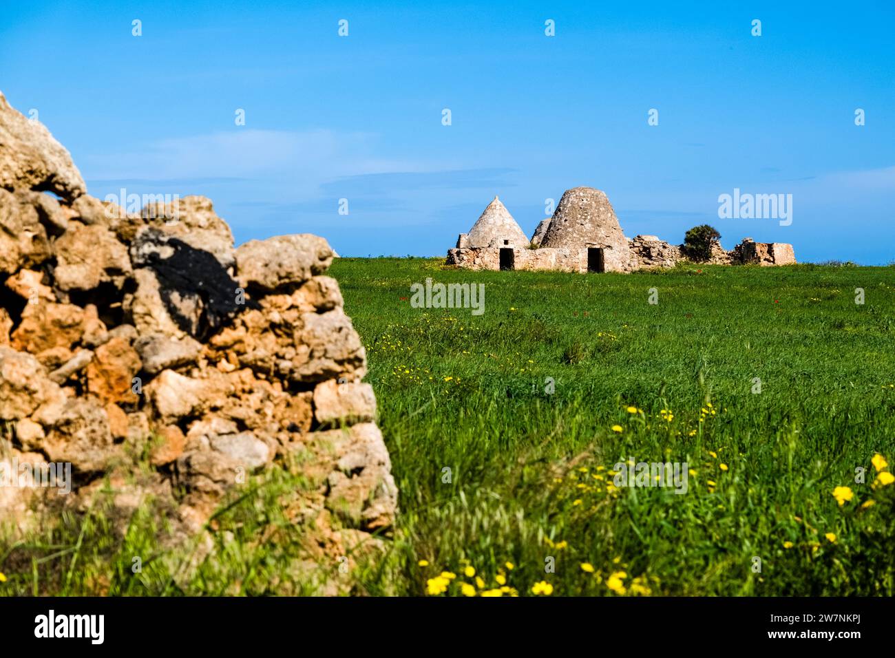 Ruins of some old trulli, the traditional Apulian dry stone hut with a ...
