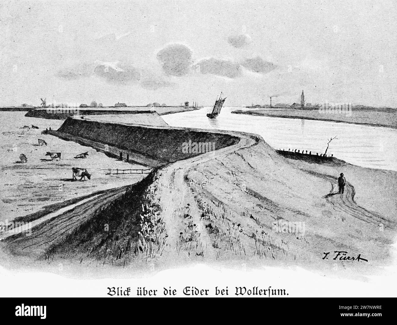 Walking behind cows Black and White Stock Photos & Images - Alamy