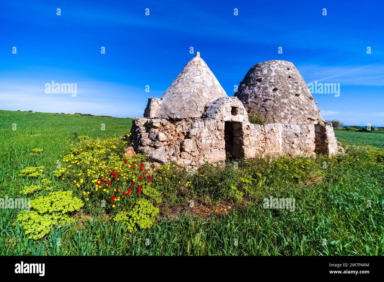 Ruins of some old trulli, the traditional Apulian dry stone hut with a ...