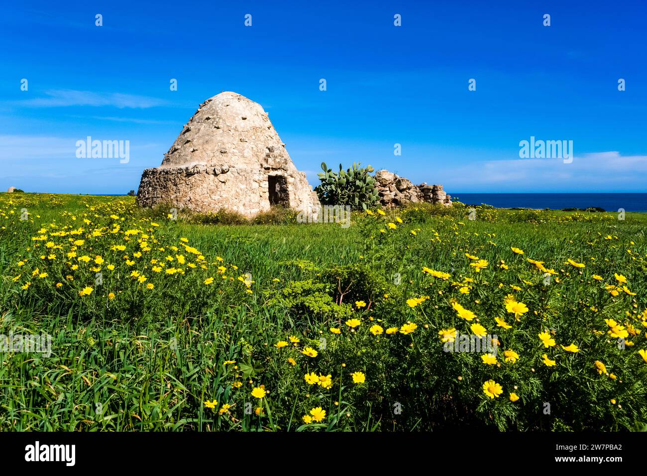 Ruins of some old trulli, the traditional Apulian dry stone hut with a ...