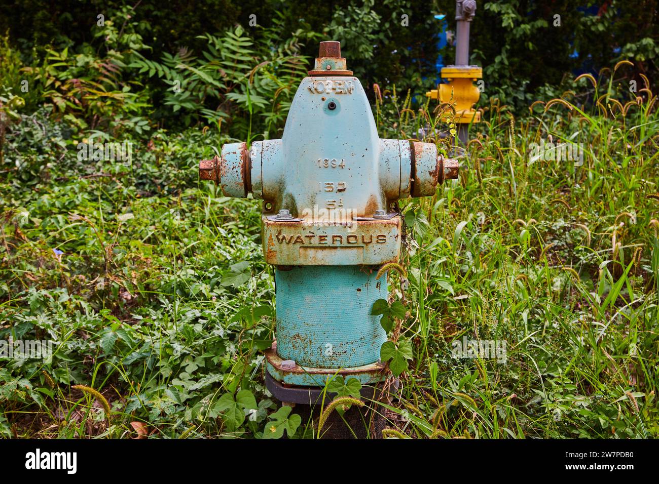 Vintage Blue Fire Hydrant with Rust and Verdigris, Surrounded by ...
