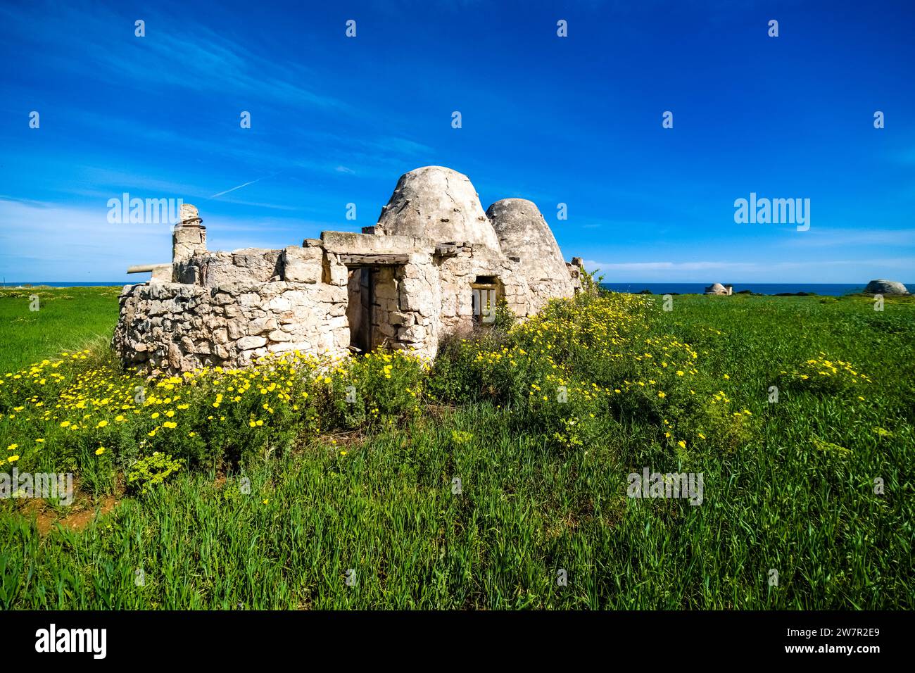 Ruins of some old trulli, the traditional Apulian dry stone hut with a ...