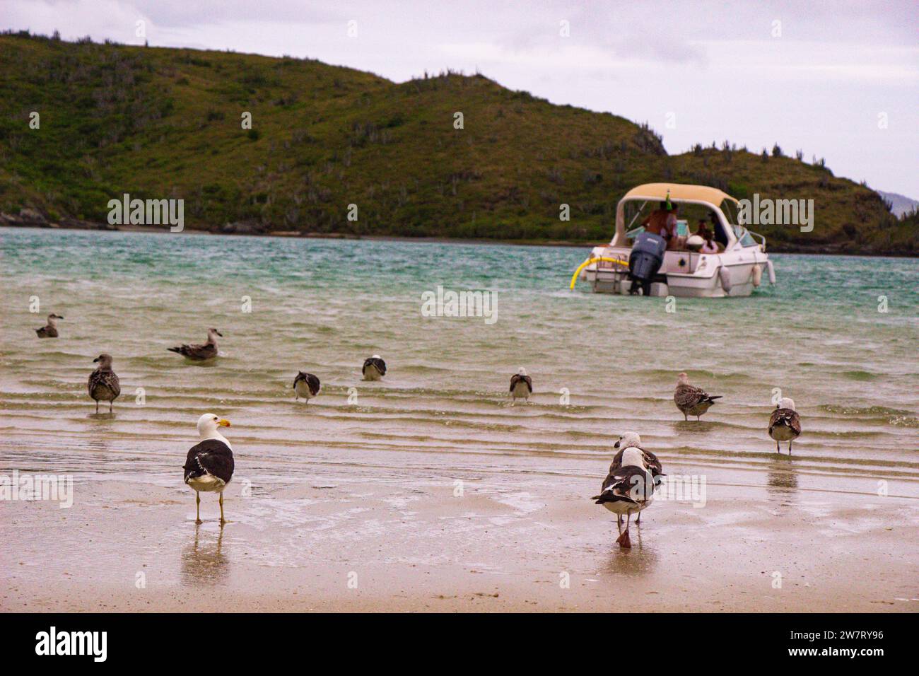 Ihla do japones hi-res stock photography and images - Alamy