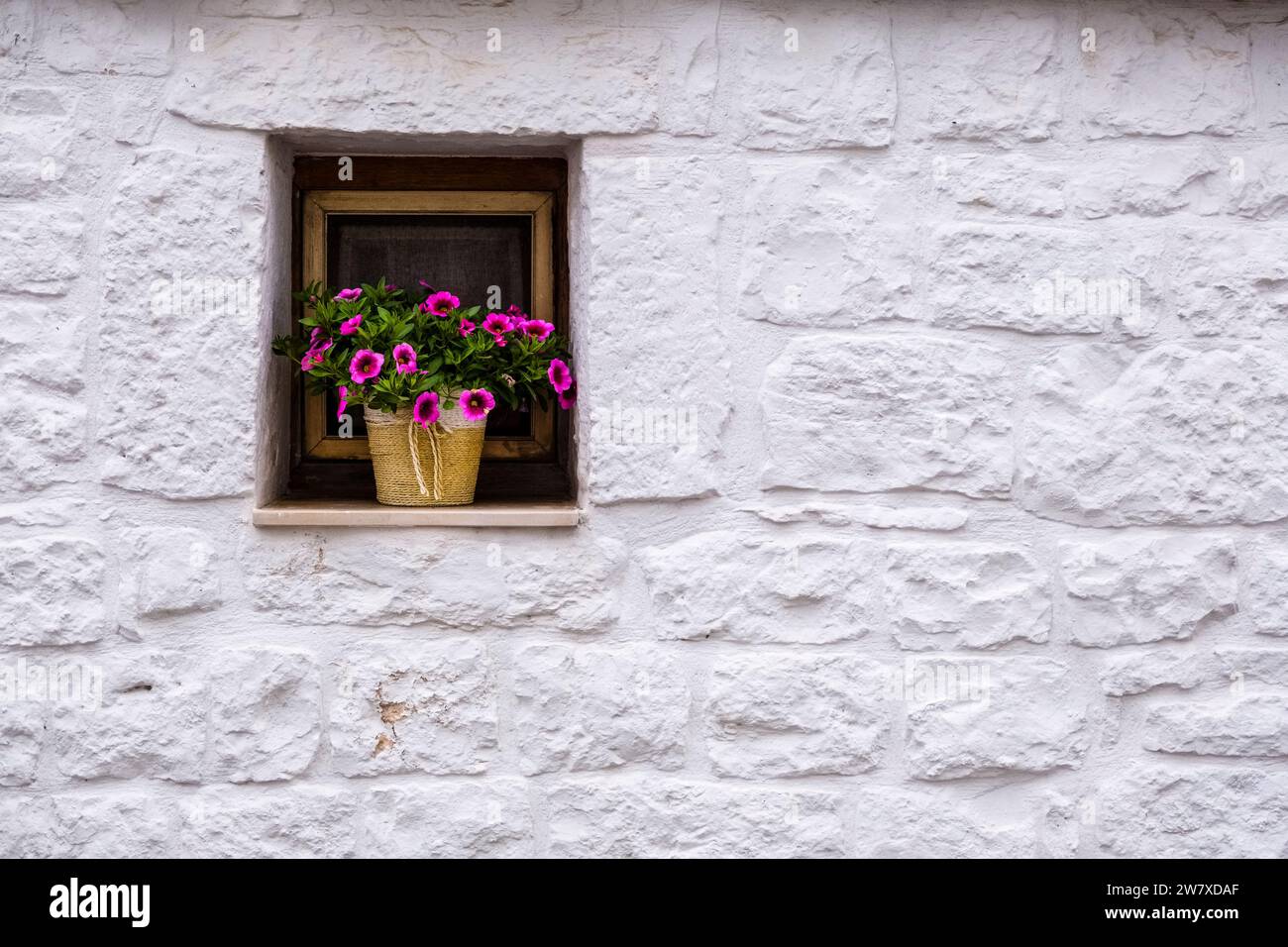 Flowers in the window of a Trullo, one of the traditional cone-shaped ...