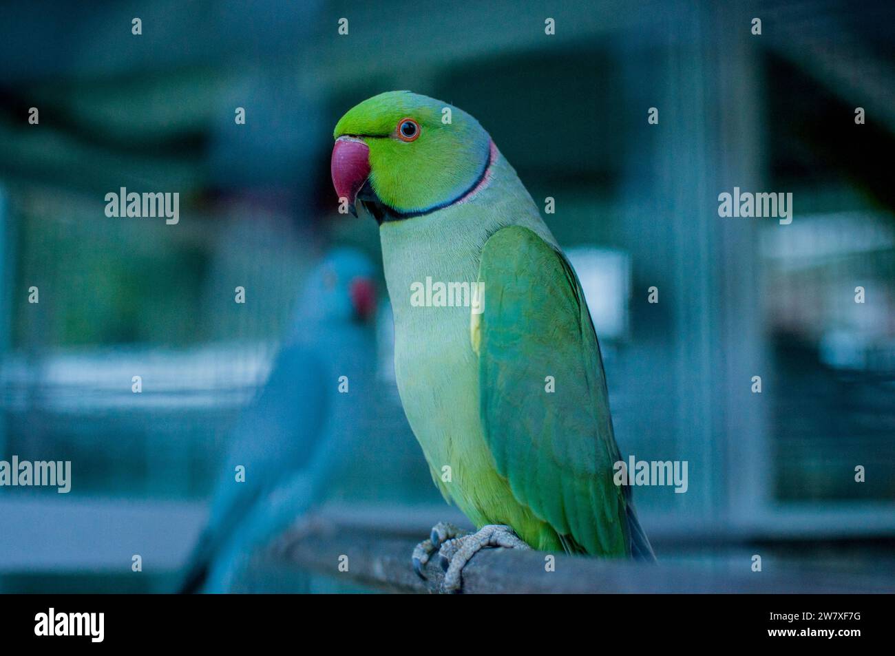 Ring cores hi-res stock photography and images - Alamy