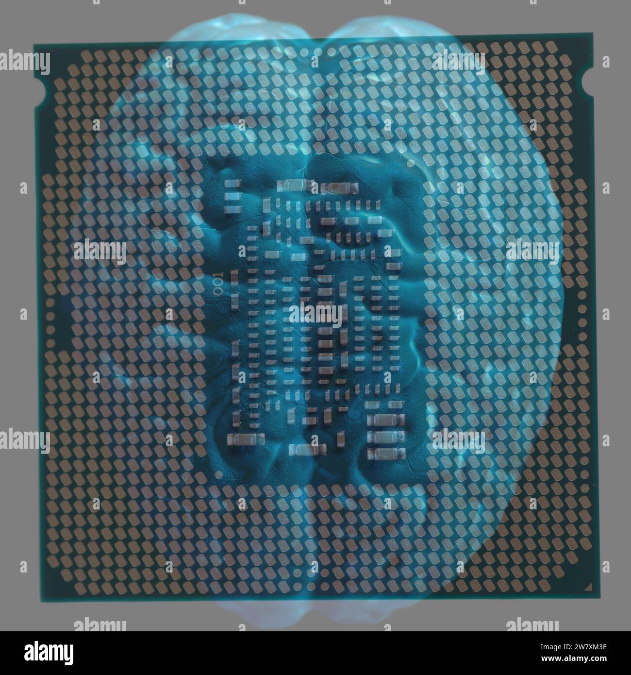 Human brain anatomical model with CPU processor microchip Stock Photo ...